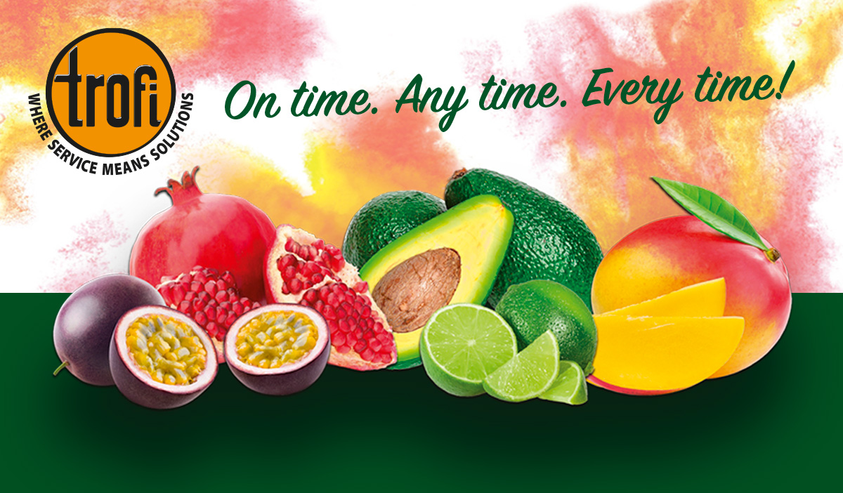 About The Team Our Products Our Services Contact/Impressum